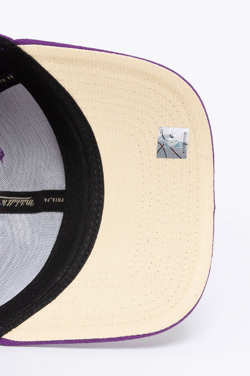 Toronto Raptors Plum Pro Crown Snapback | Stateside Sports